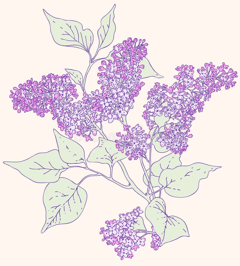 Purple Flowers Clip Art Stock Illustrations – 9,038 Purple Flowers Clip ...