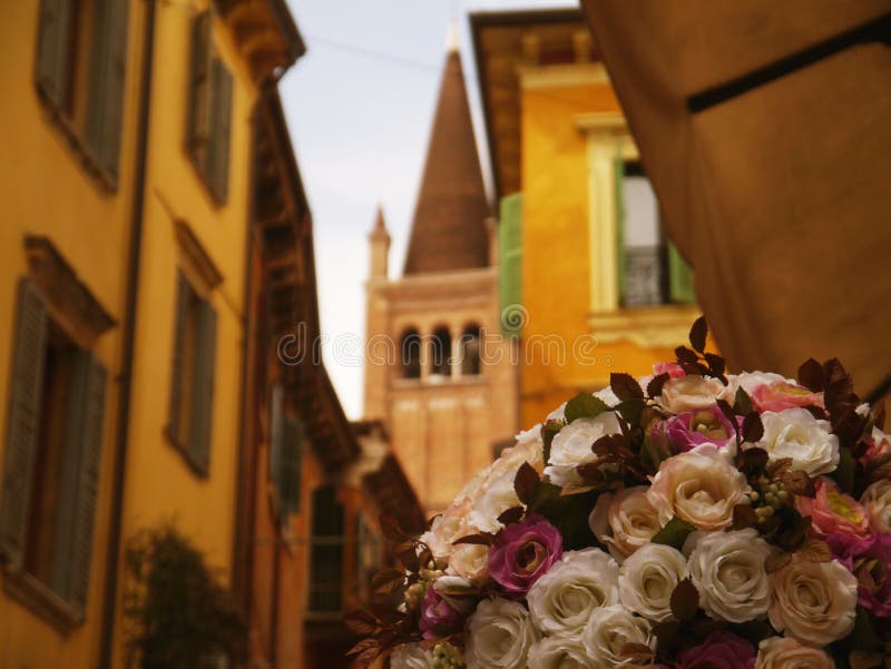 Flowers in Verona stock photo. Image of exotic, vivid - 48935600