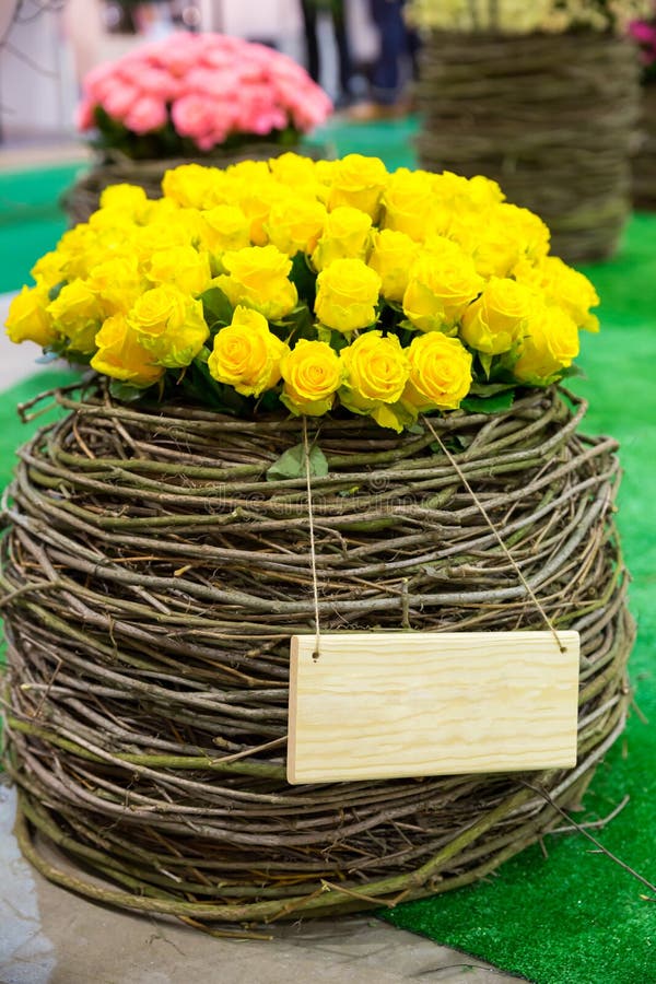 Flowers in vine stock image. Image of flower, floral - 72468475