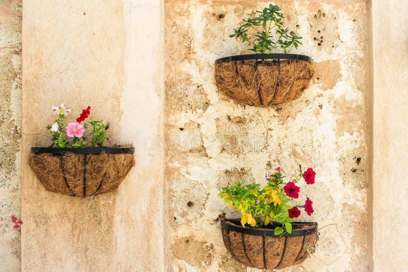 Flowers on the wall stock image. Image of stone, flowers - 38398545