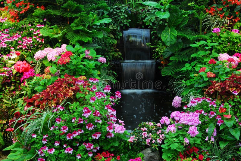 Flowers and Waterfall Garden Stock Image - Image of flora, colorful ...