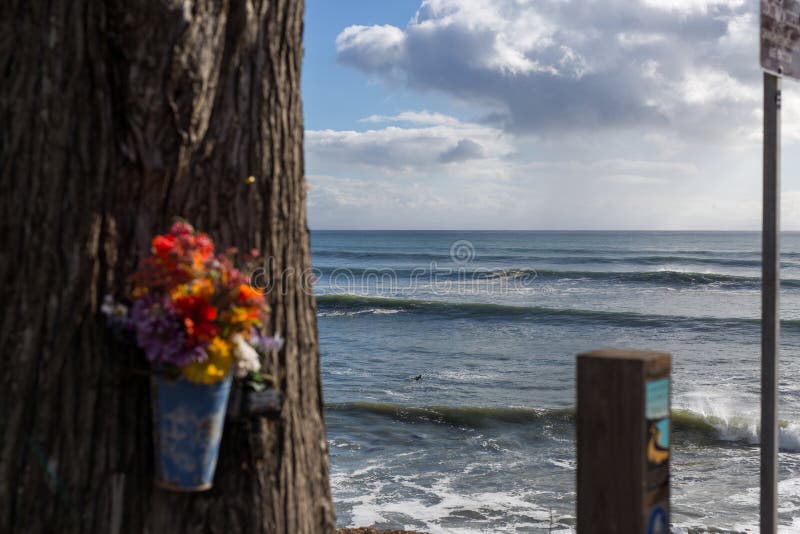 Flowers and Waves stock image. Image of neill, bunch - 74340089