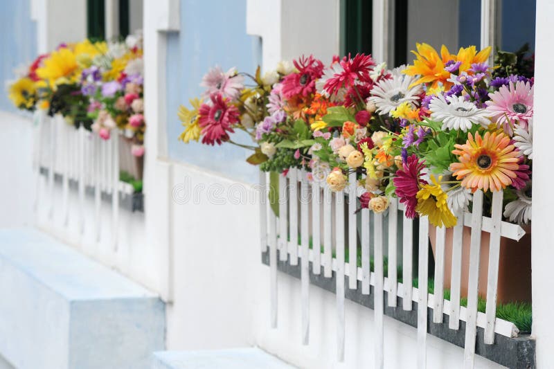 Flowers on Window stock photo. Image of exterior, window - 20227464