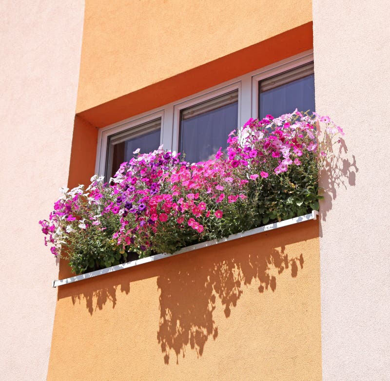 Flowers at window stock image. Image of house, exterior - 32975063