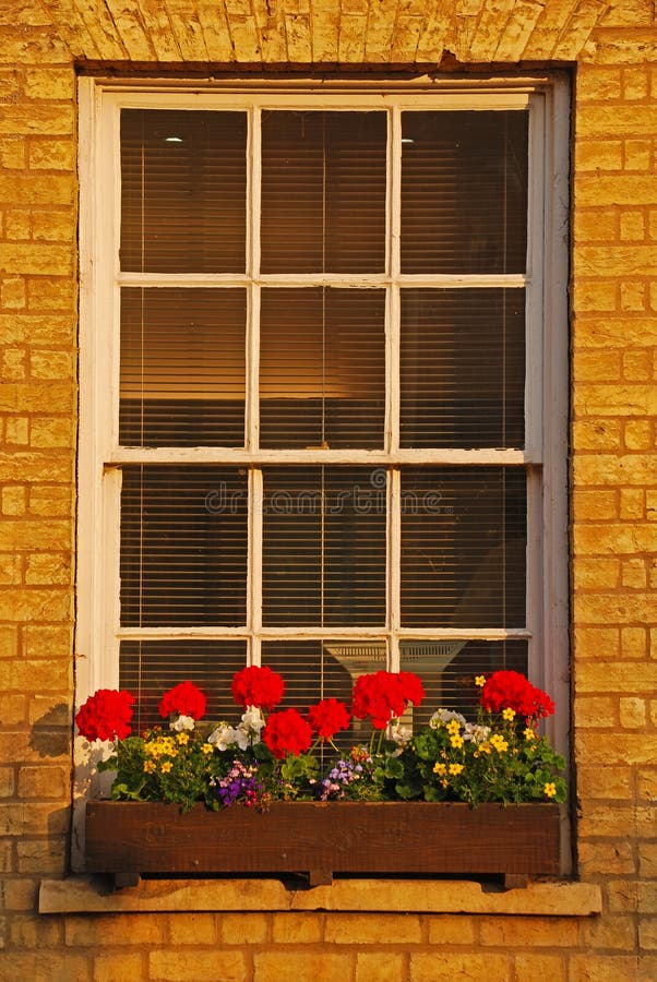 Flowers on Window in the Evening Stock Photo - Image of decoration ...