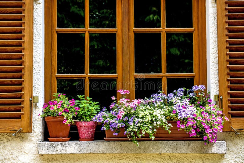Flowers at a window stock image. Image of vibrant, painted - 41580191