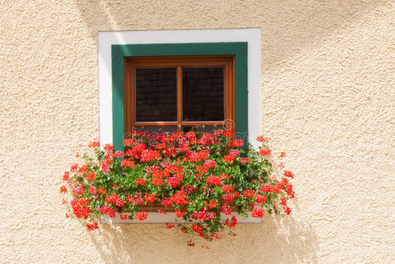 Flowers on the window. stock photo. Image of exterior - 62023522
