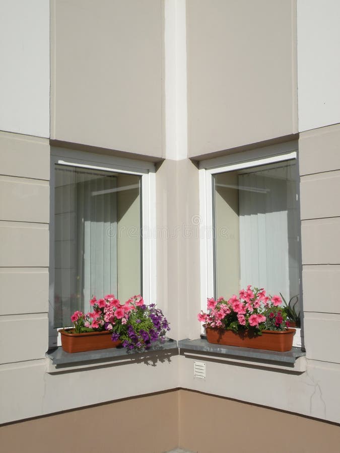Windows with flowers stock image. Image of blue, architecture - 14897287