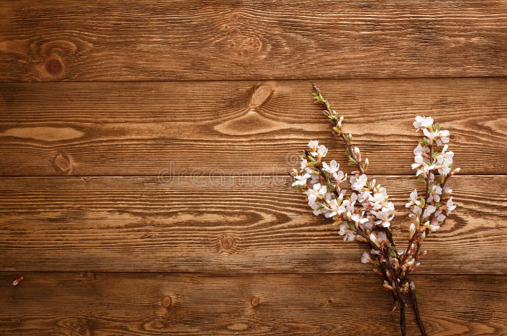 Flowers on Wood Texture Background Stock Photo - Image of rough, boards ...