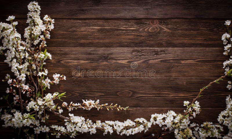 4,011 Flowers Wood Texture Background Copyspace Stock Photos - Free ...