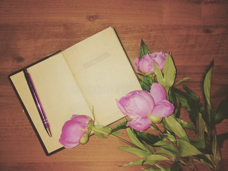 Flowers stock image. Image of flowers, pink, notes, write - 78058387