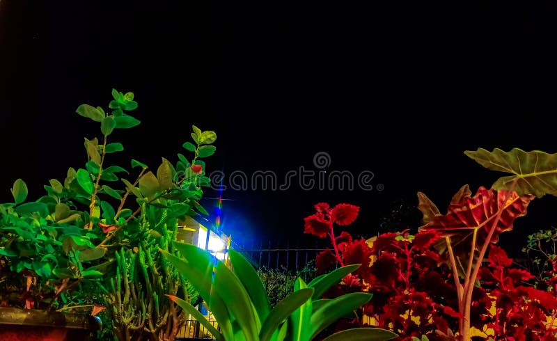 Cocoon Clipart Black White Stock Photos - Free & Royalty-Free Stock ...