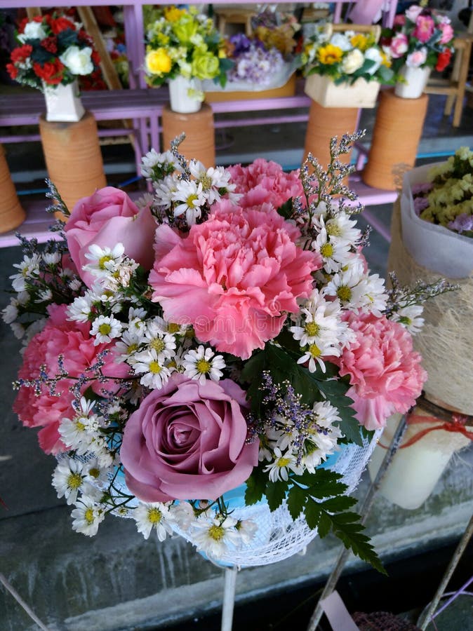 Flowers stock photo. Image of special, flowers, pink - 108857092