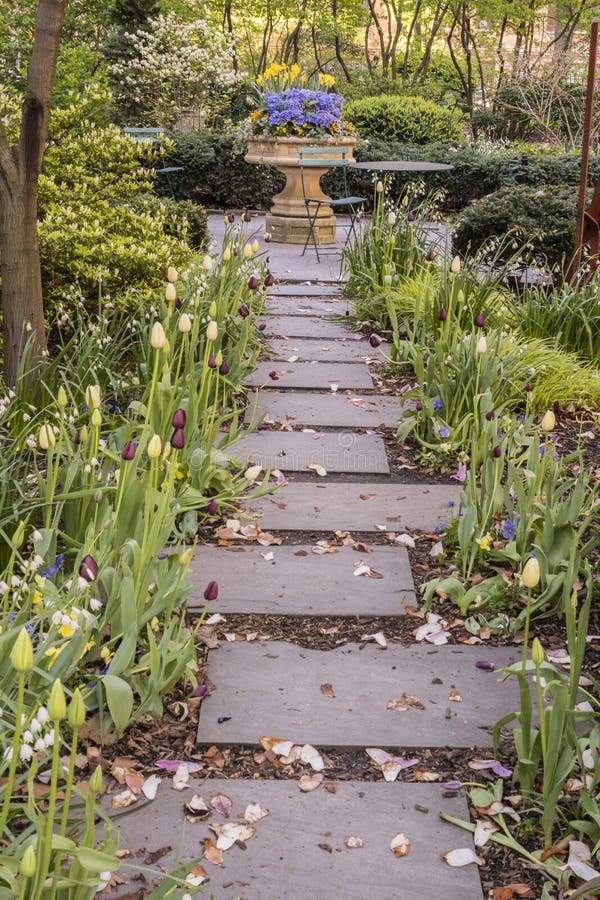 Flowery pathway stock photo. Image of path, nature, tulips - 217231832