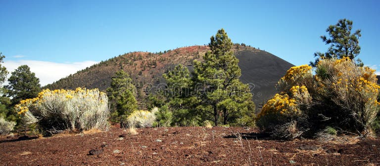 A Flowery View of Sunset Crater Stock Image - Image of pine, blue: 11510529