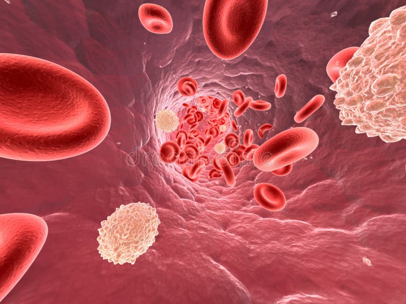 Flowing blood stock illustration. Illustration of leukocytes - 8692687