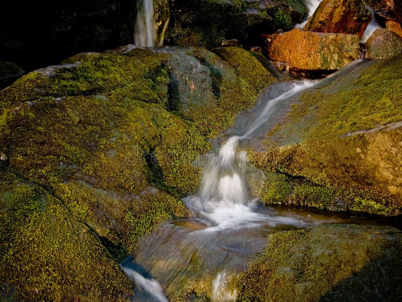 Flowing Brook stock photo. Image of environment, north - 46271404