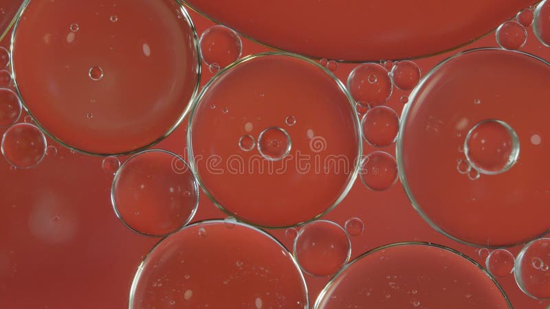 Flowing Bubble Red Color Background Stock Video - Video of splash ...