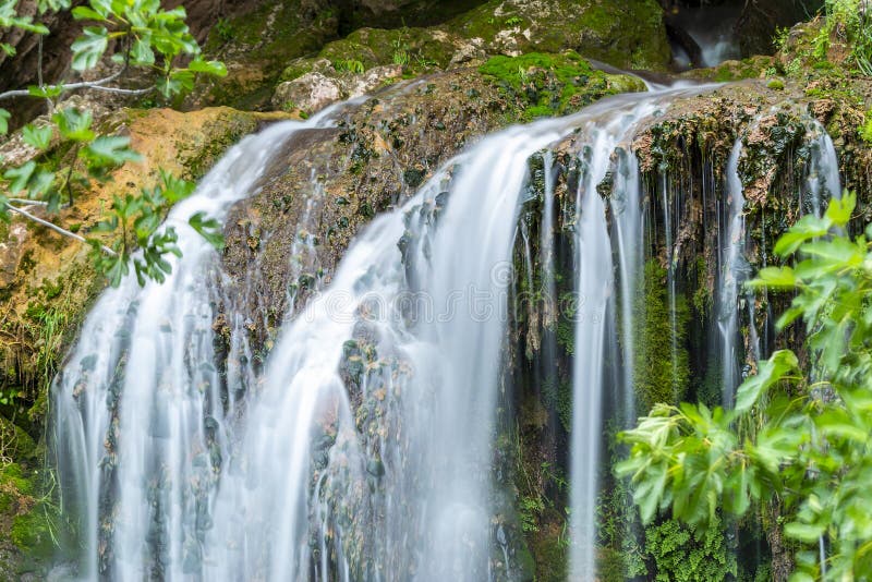 Cascade in the forest stock image. Image of trees, water - 303423