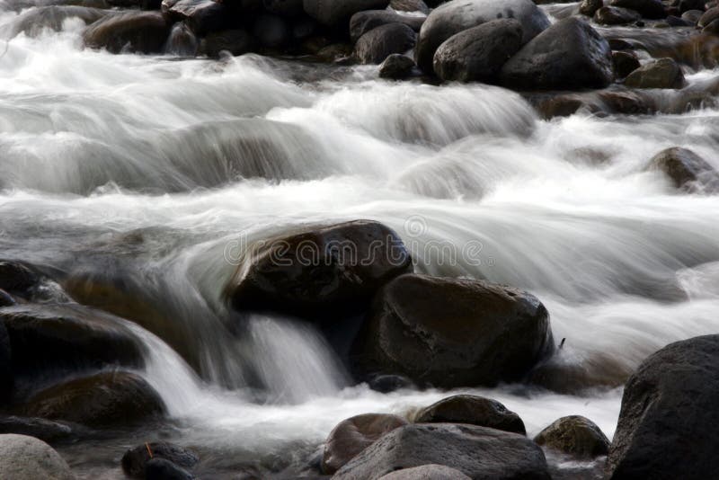 Flowing creek stock image. Image of flowing, nature, rocky - 359333