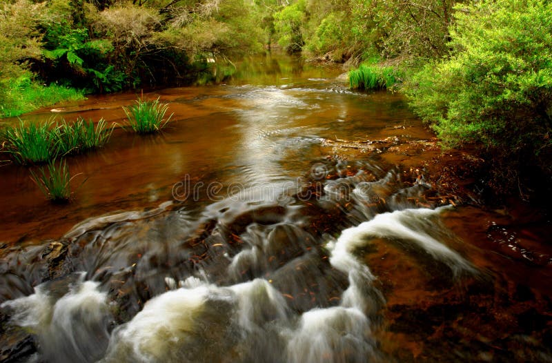 Flowing Creek stock image. Image of hiking, landscape - 4548067