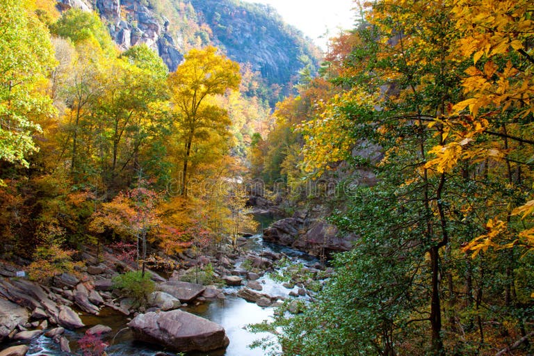 Flowing Creek with Fall Foliage Stock Image - Image of leaves, fall ...