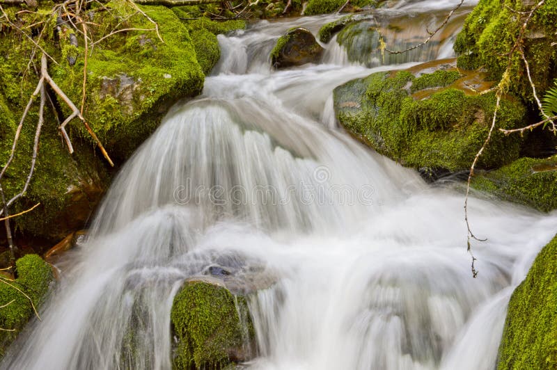Flowing Creek Waterfall Near Loon Lake Stock Photo - Image of nature ...