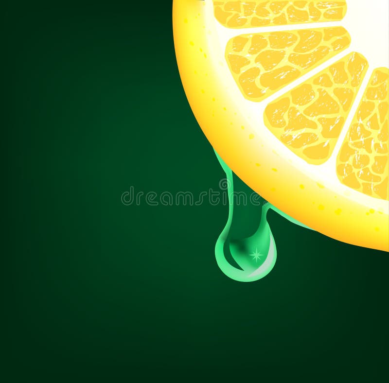 Flowing Down Drop on a Lemon Segment. Vector Stock Vector ...