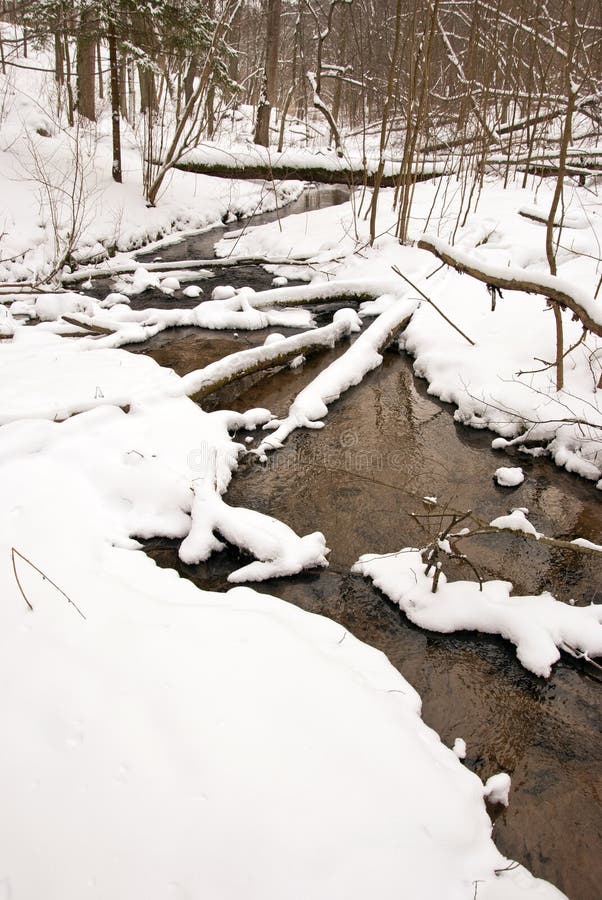 Winter Scene with Stream stock photo. Image of forest - 3876400
