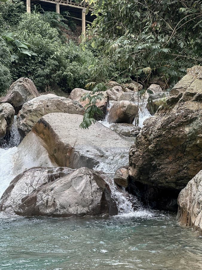 Flowing Freshwater Stream Cascading Over Rocks Surrounded by Lush ...