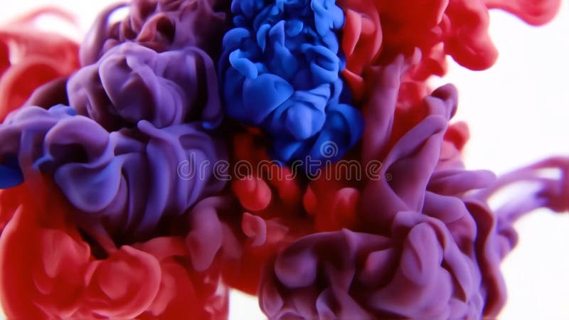 Flowing Ink and Liquid Paint Create Vibrant Color Patterns in an ...