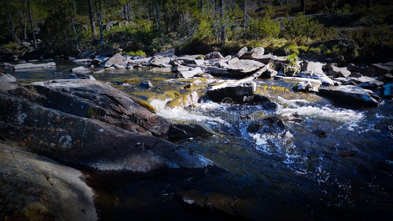 Flowing lake stock photo. Image of lake, blue, forest - 132030554