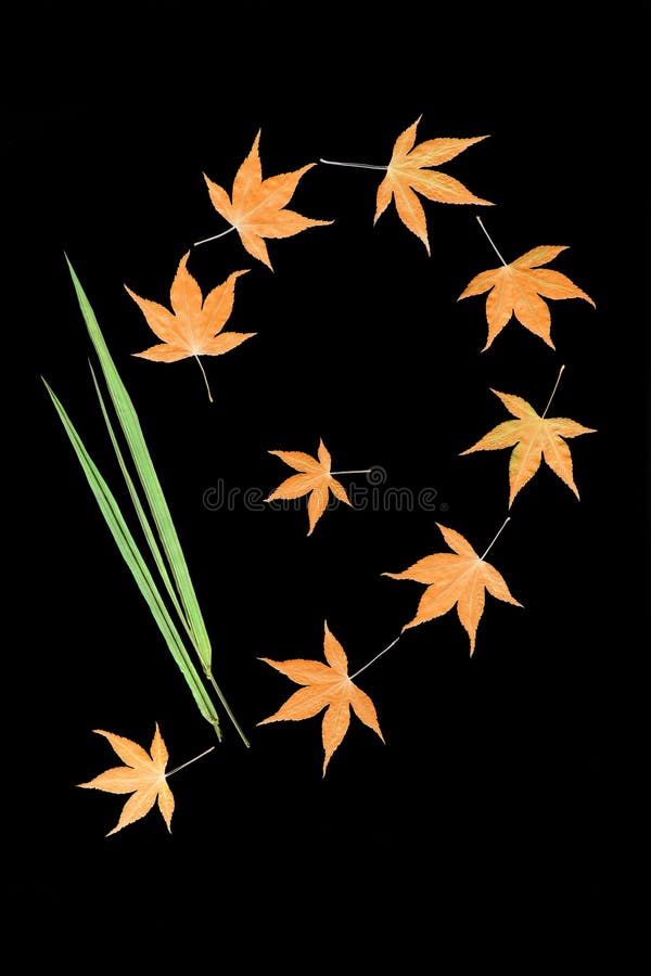 Flowing Leaves stock photo. Image of natural, green, dramatic - 3450496