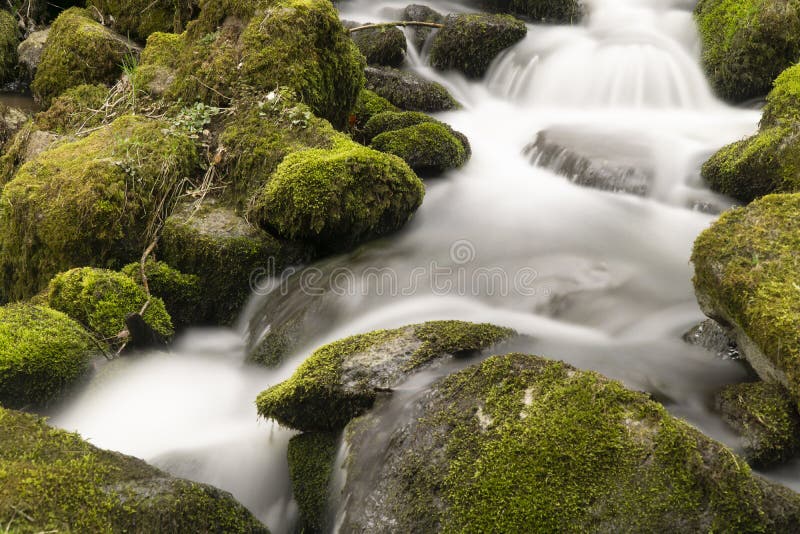 Flowing Motion of Waterfall Stock Photo - Image of waterfall, jungle ...