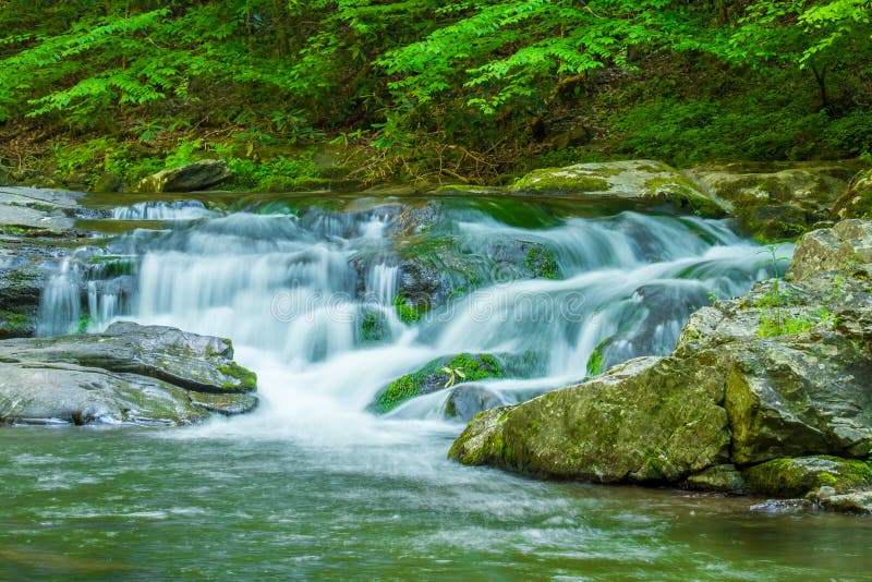A Flowing Mountain Stream Great Smoky Mountain National Park Stock ...