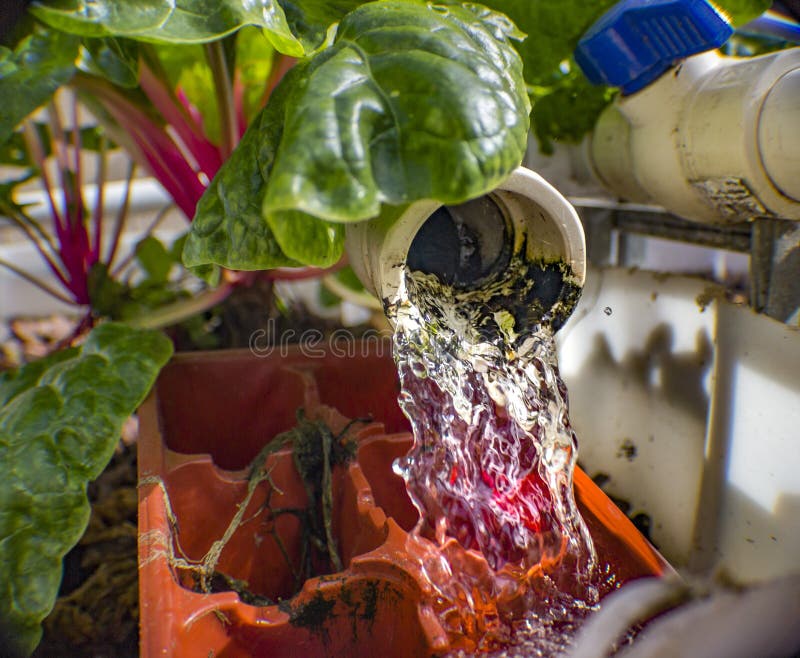 Flowing and Reflective Water in a Home-made System Stock Photo - Image ...