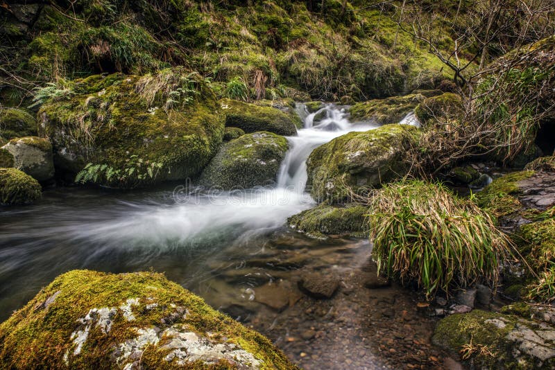 Alva Glen is a Spectacular Gorge in Scotland. Stock Image - Image of ...