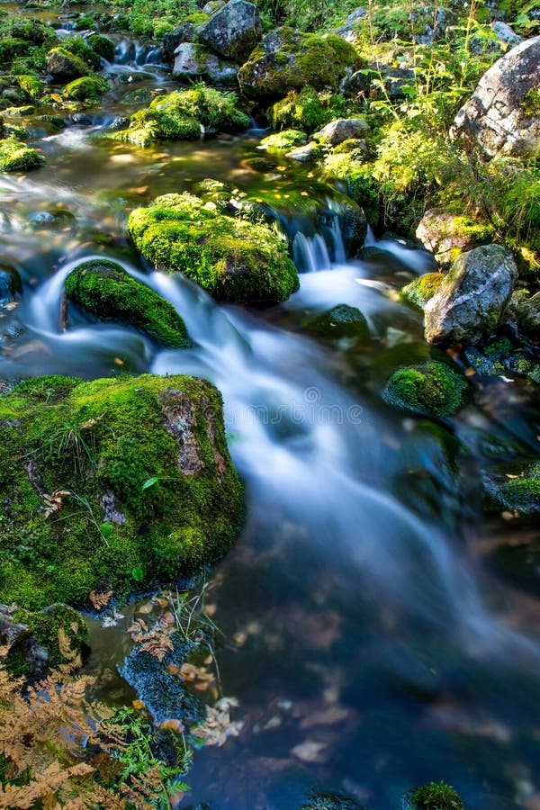 Flowing river stock photo. Image of nature, green, mosh - 58984842