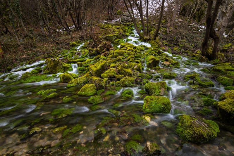 Flowing River and Moss Covered Rocks Stock Image - Image of river ...
