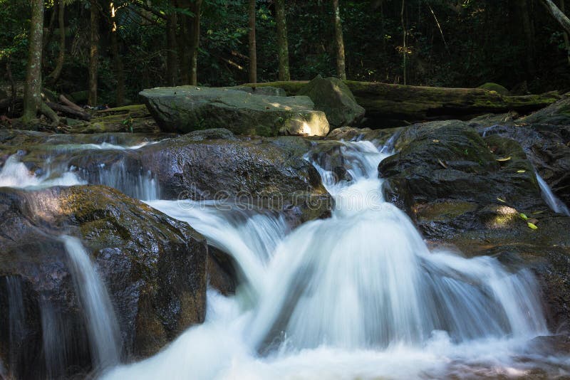 A Flowing River Stream in a Forest Stock Photo - Image of exposure ...
