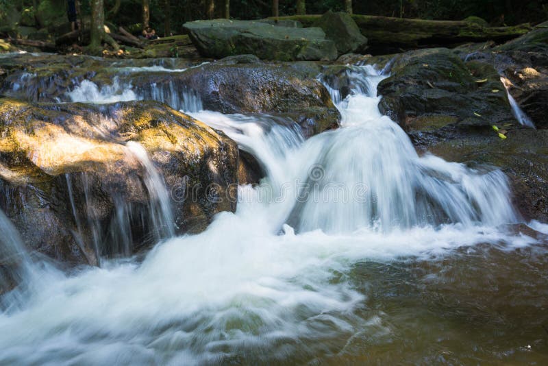 A Flowing River Stream in a Forest Stock Image - Image of asia, flowing ...