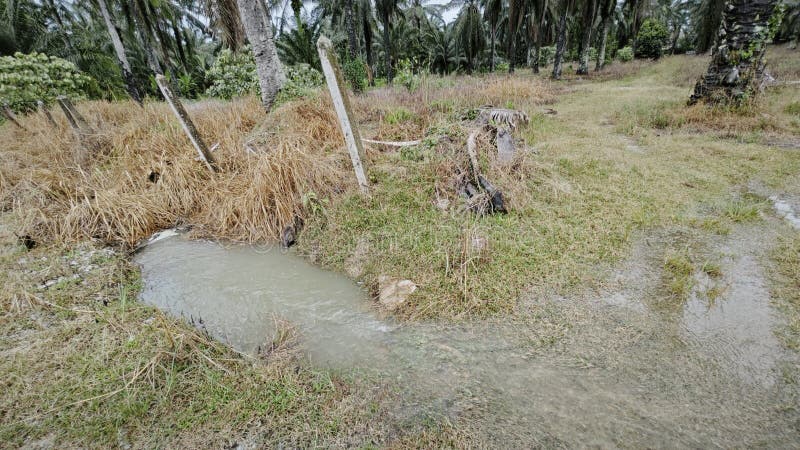 Flowing Side Drain Water Along the Pathway after the Heavy Rain. Stock ...