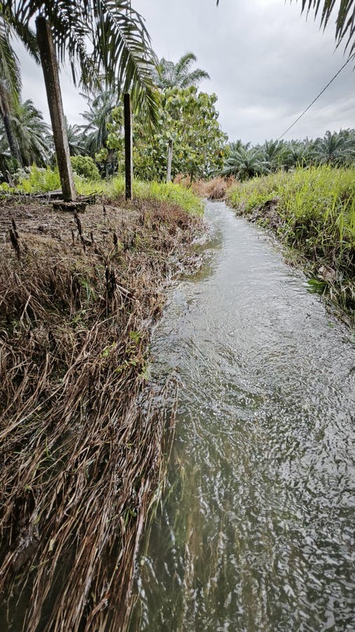 Flowing Side Drain Water Along the Pathway after the Heavy Rain. Stock ...