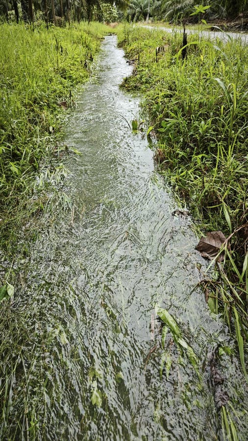 Flowing Side Drain Water Along the Pathway after the Heavy Rain. Stock ...