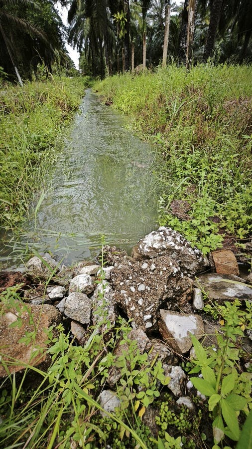 Flowing Side Drain Water Along the Pathway after the Heavy Rain. Stock ...