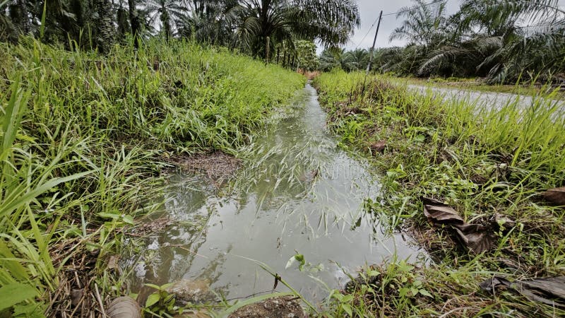 Flowing Side Drain Water Along the Pathway after the Heavy Rain. Stock ...