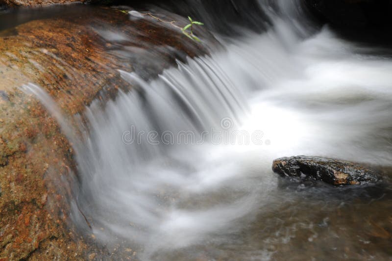The flowing spring water stock photo. Image of cool, peace - 6973094
