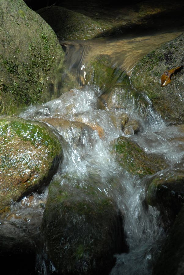 A flowing stream stock photo. Image of malaysia, shallow - 1604670