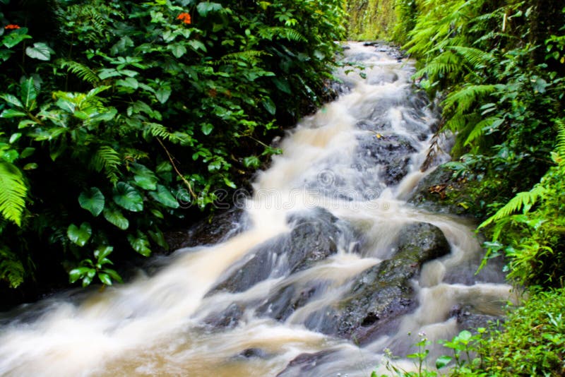 Flowing Stream Picture. Image: 19703753