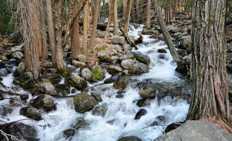 Stream stock photo. Image of stream, clear, rivers, design - 18390712